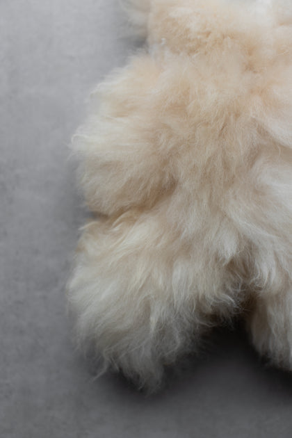 Alpaca Bear – Notary Ceramics