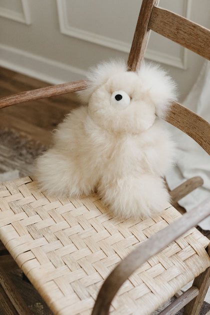 Alpaca Bear - Assorted – Notary Ceramics LLC